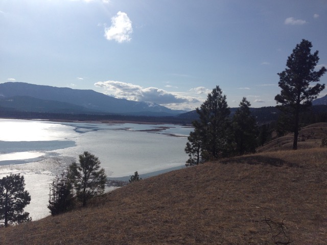 Groundwater Contribution into Columbia Lake in the Vicinity of Canal ...