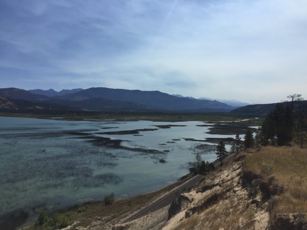 AMPed UP! September 2020 Edition - Columbia Lake Stewardship Society